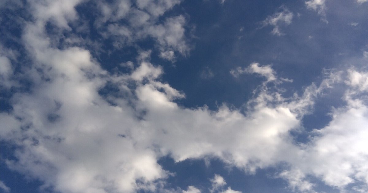 #フォロバ始めました｜りお ライター｜BANSO Works