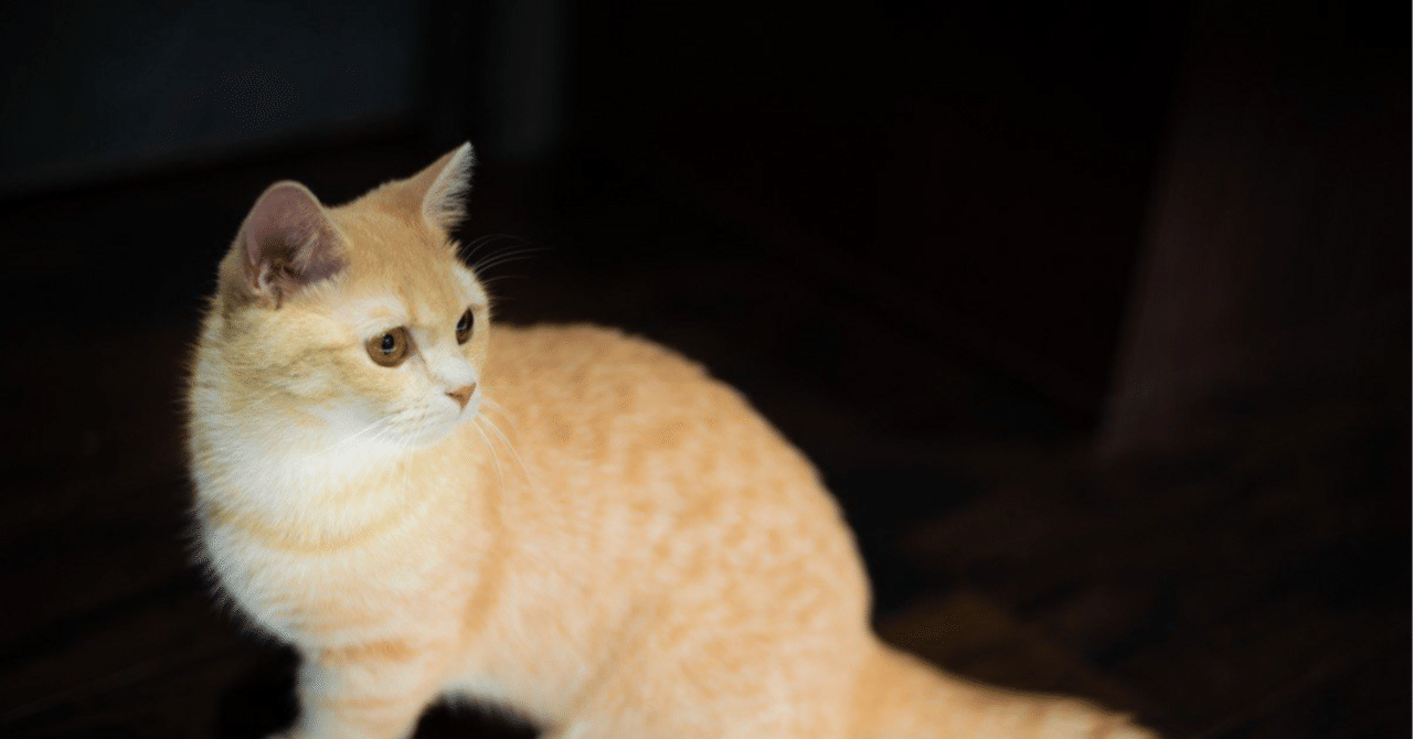 「考える」ことを考える｜Moosan