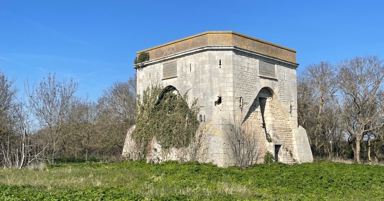 料理人の発酵食品生活｜chef ichi
