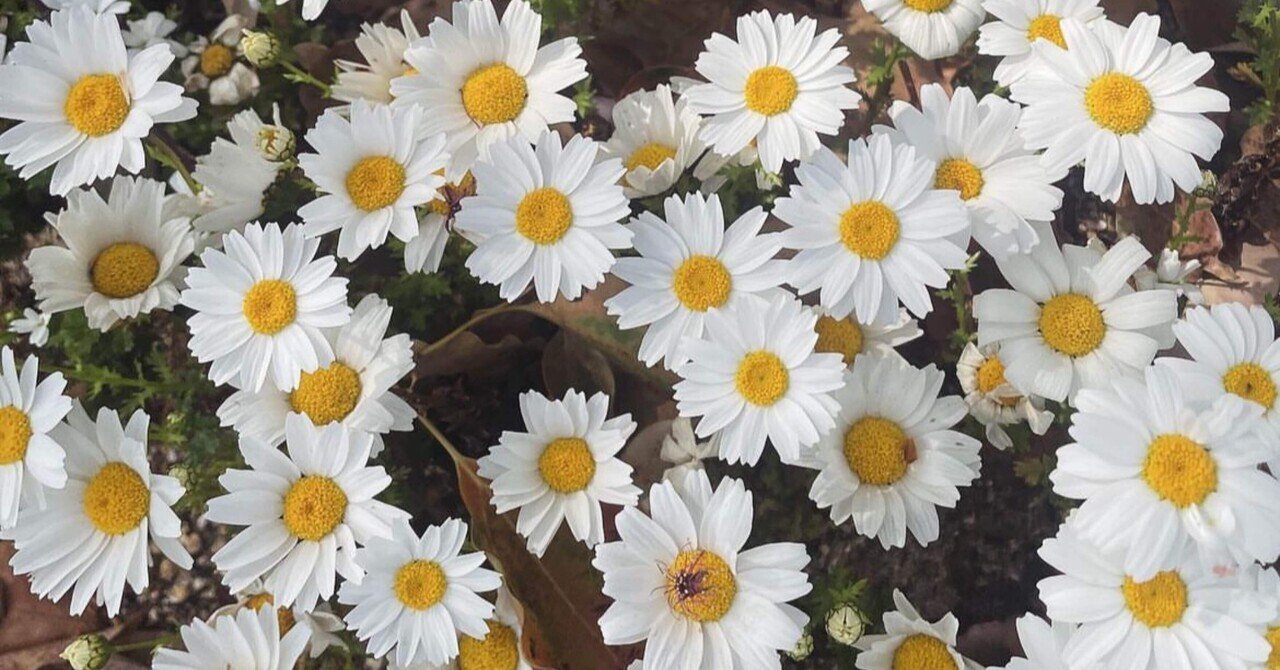 完璧をゆるめるのも完璧じゃなくていい。｜KAO / ママが幸せに生きるための3goodエッセイ