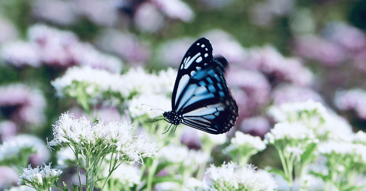 生命の起源の出発点：自然の正しい理解｜katoshi