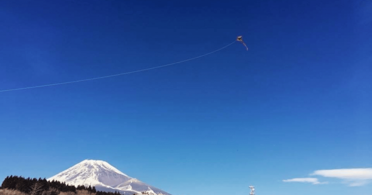 Rust 製数理最適化ソルバー clarabel の使い方｜blue06_2022