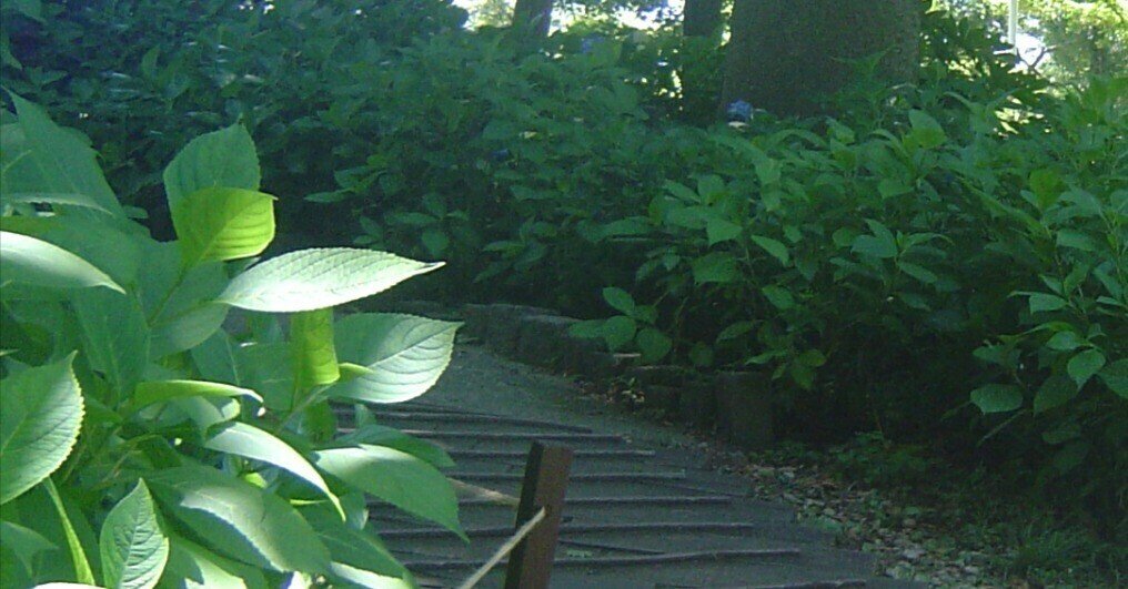 Natsagdorjiin Yuki Kitagawa｜note