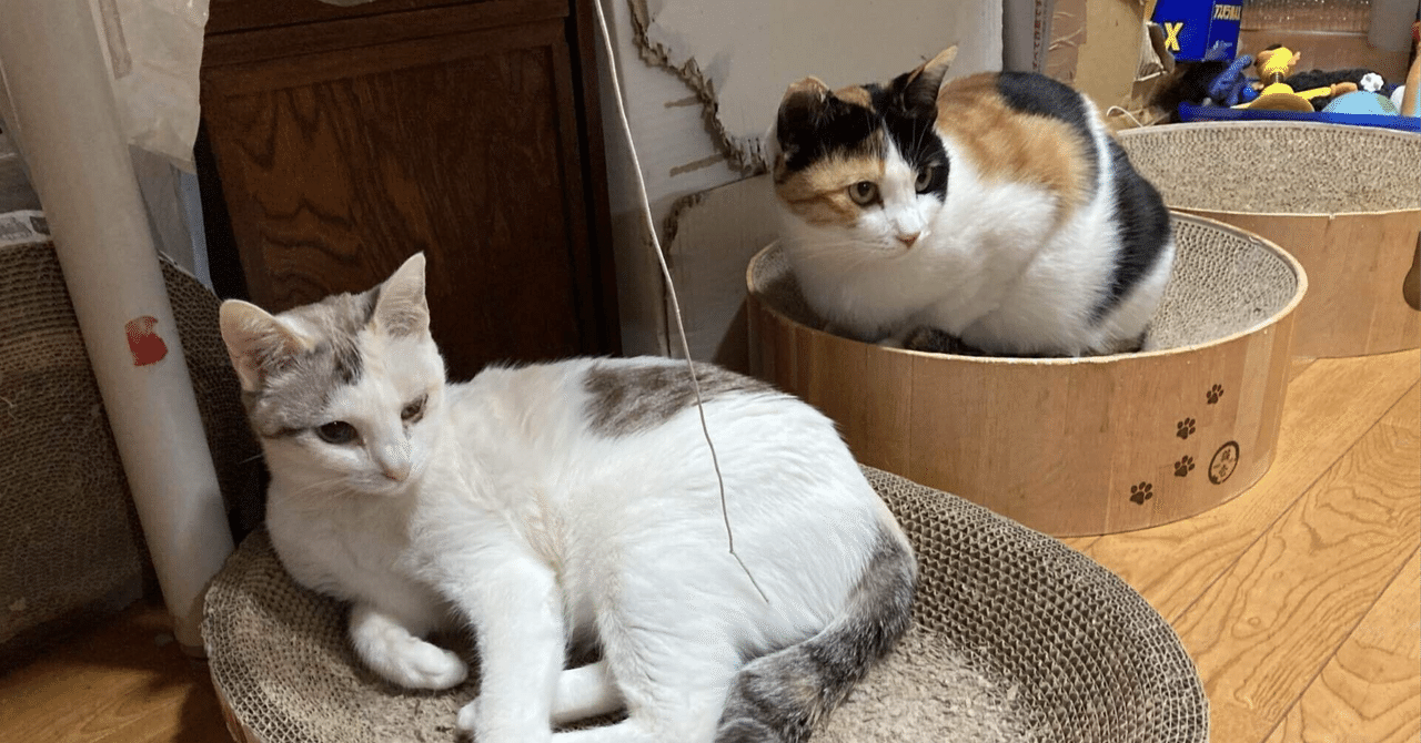 あなたにとって、私にとって、とは？｜Moosan