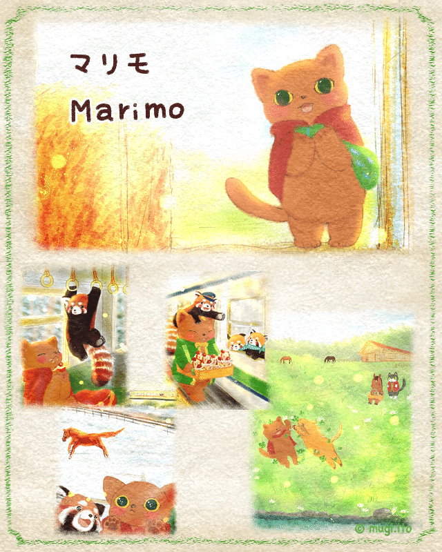 🐱マリモ Marimo｜伊藤麦 | レッサーパンダのポへ