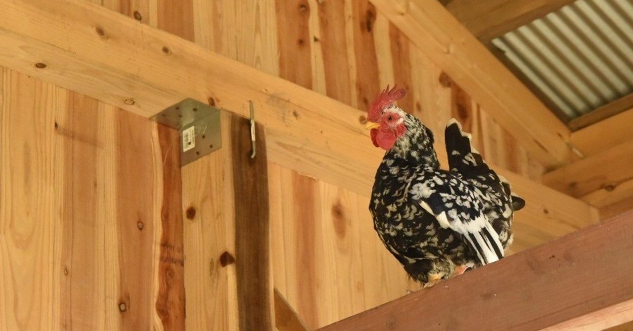 生きるために食べる。食べるためにつくる。映画「リトルフォレスト」をみて。｜Futoshi Matsuki｜note