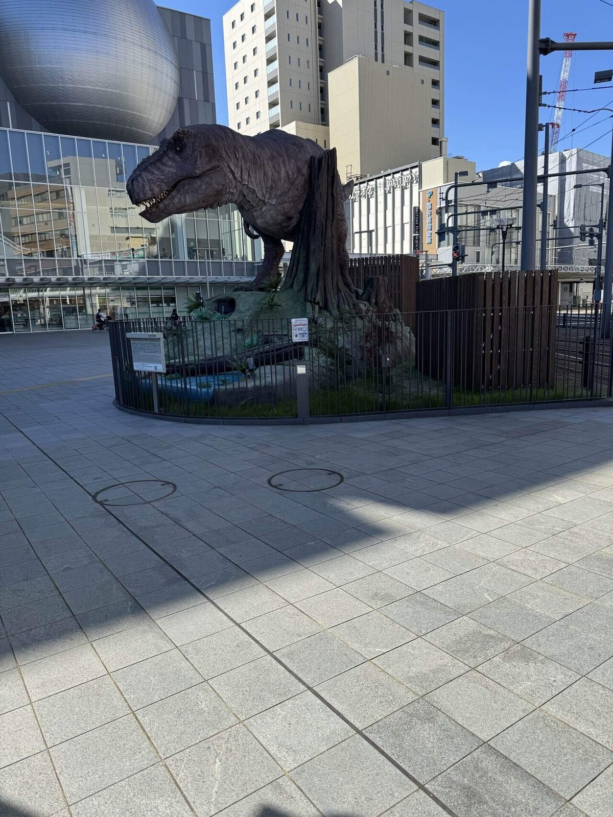 一筆書き切符の秋2024③｜y hidetoshi