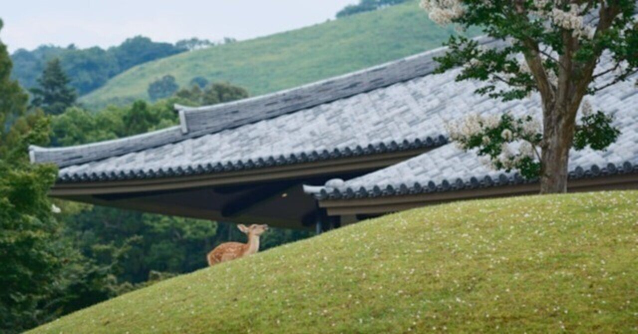 AXIES2024に参加してきました｜codemp -大学職員のためのDX学習コミュニティ-