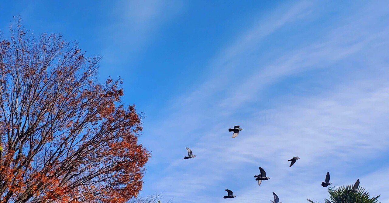 【詩】『さきざき』｜Ryutaro