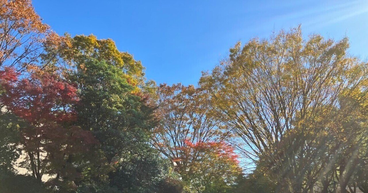 かっこいい女性 2024年12月【4】｜あぎる/agiru