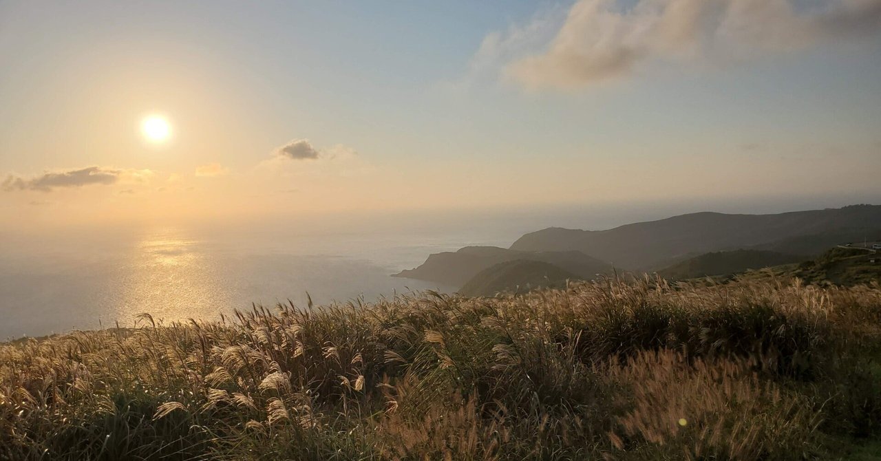 「好きなこと」に真っ直ぐでいたい｜Matti