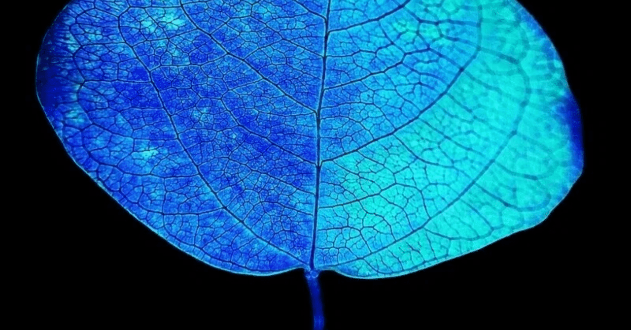 物事の要素分解｜TATSU