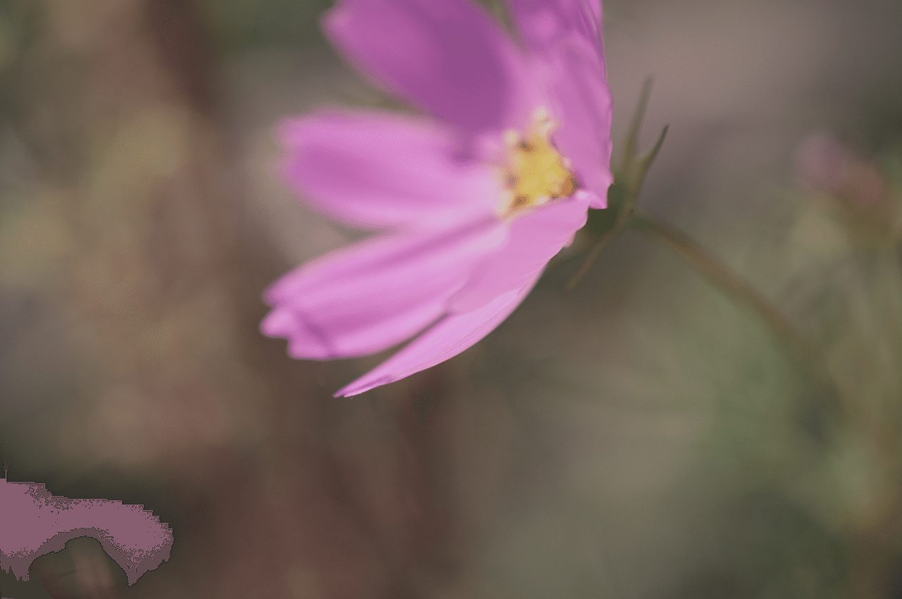 布団からやっと脱出寒い朝湯を沸かして白い湯気吐く ｜Shinichi Sendagi