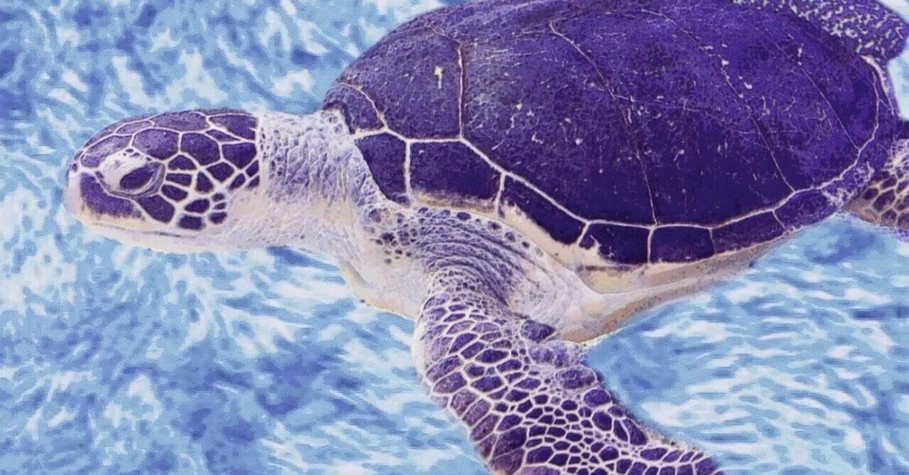 改めて自己紹介/はじめましてのNOTE｜kame