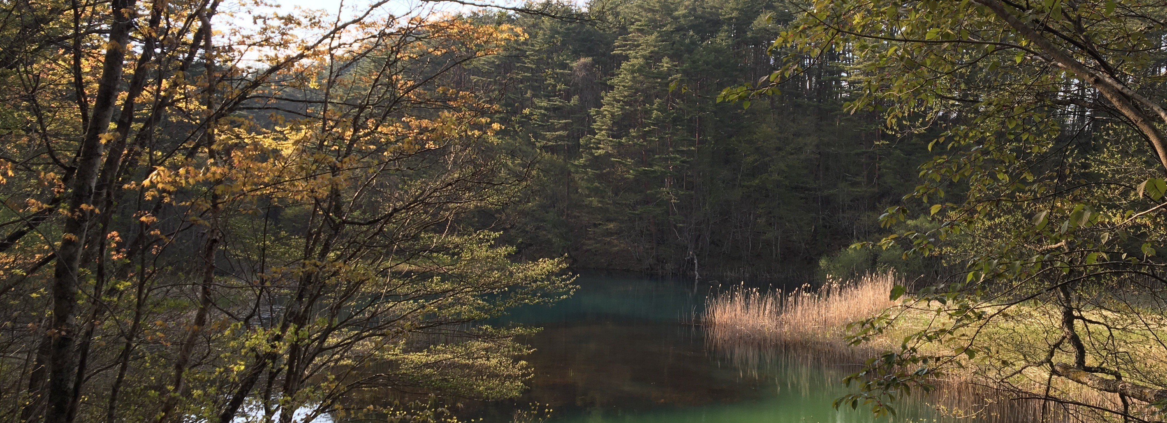 森 祐太【Yuta Mori】 Tsuzucle CEO｜note