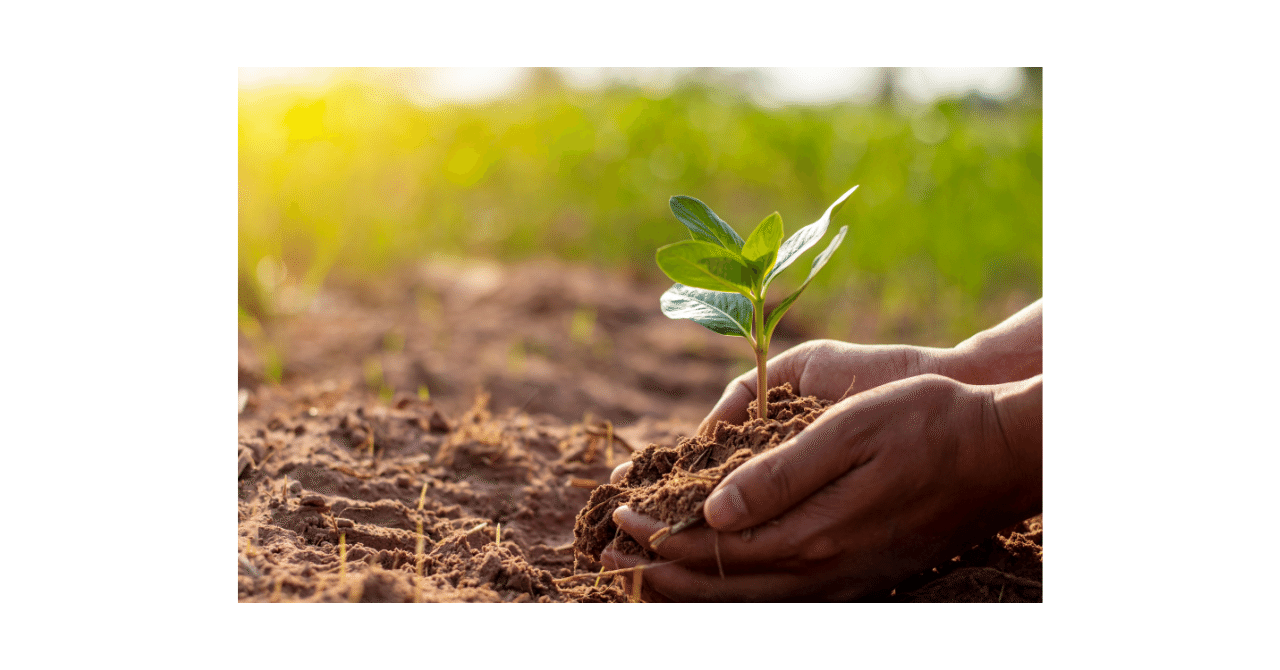 00【連載予告】コーチングx内部監査：新任監査人（金融機関）成長ストーリー～配属後6ヶ月間の学びと気づき～｜TAIZO