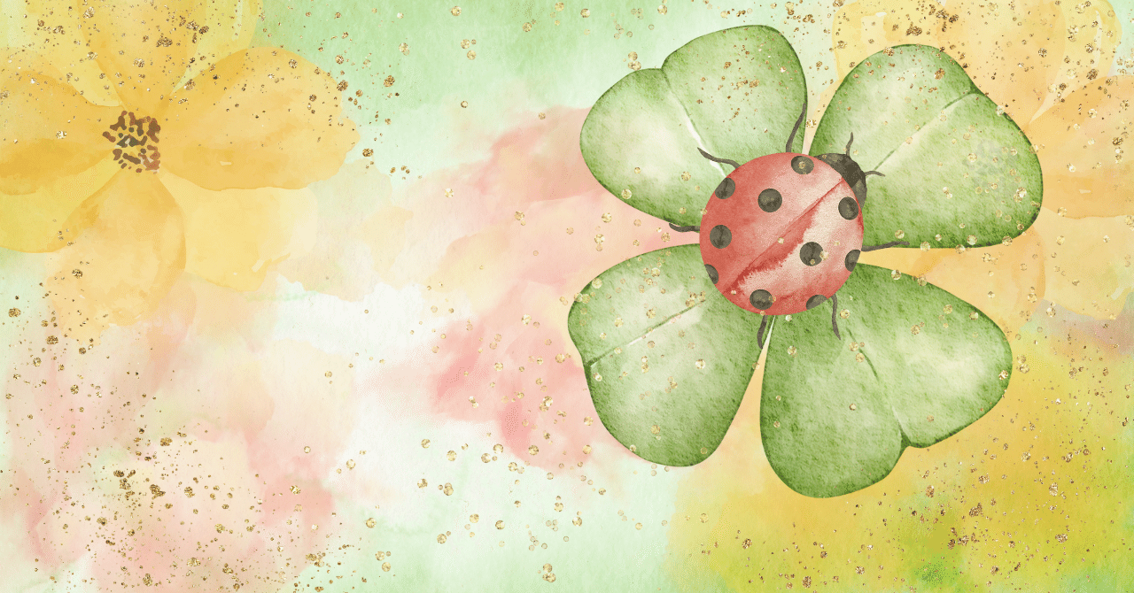 てんとう虫が教えてくれた願いと感謝～Vol.26～｜NaChi〜愛と笑顔が煌めくステージへ