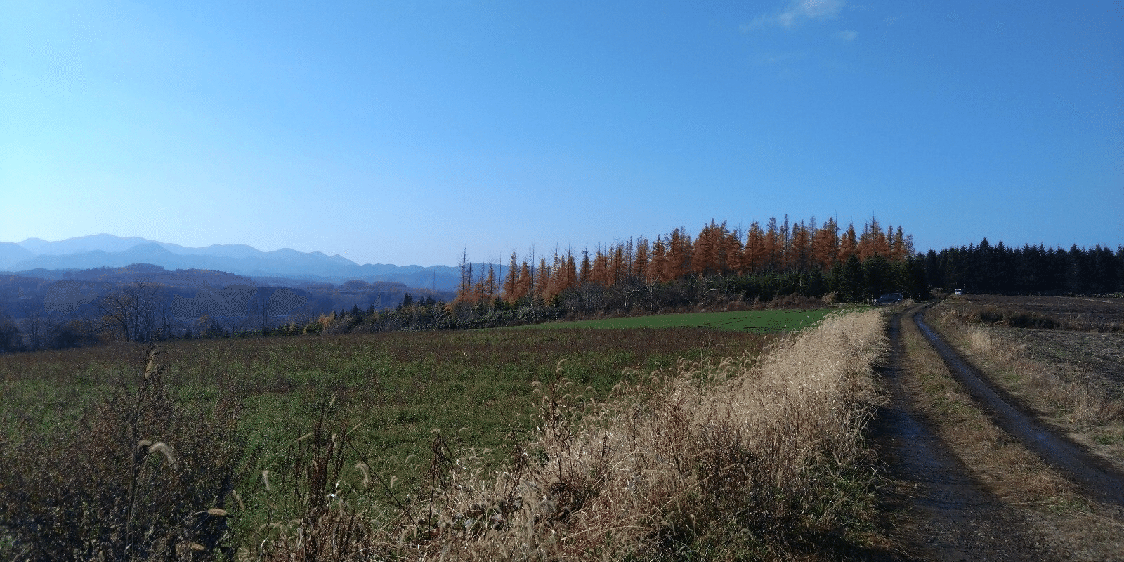 山空 広人（FP）｜note