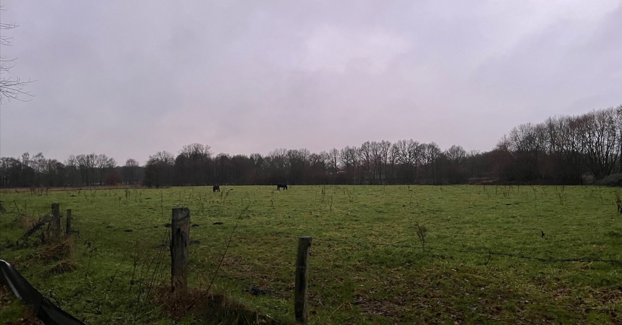 若干の鬱｜Ayano