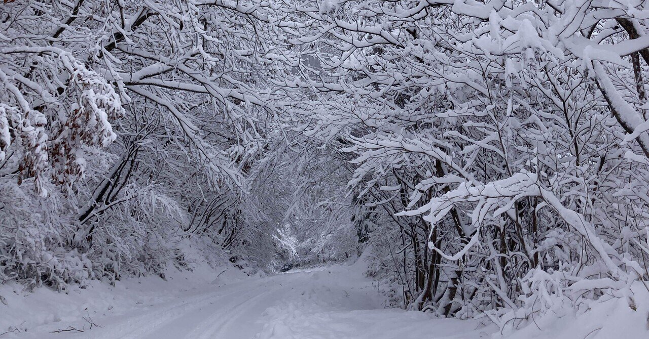 20241214（KIN＃160）自然界の音はとても静寂で心地よい｜ホビット族たかきーと@新庄村｜ボスケリコ農園
