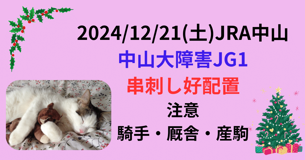 2024/12/21(土)JRA中山・中山大障害JG1・串刺し好配置・注意・騎手・厩舎・産駒 ｜みぷ