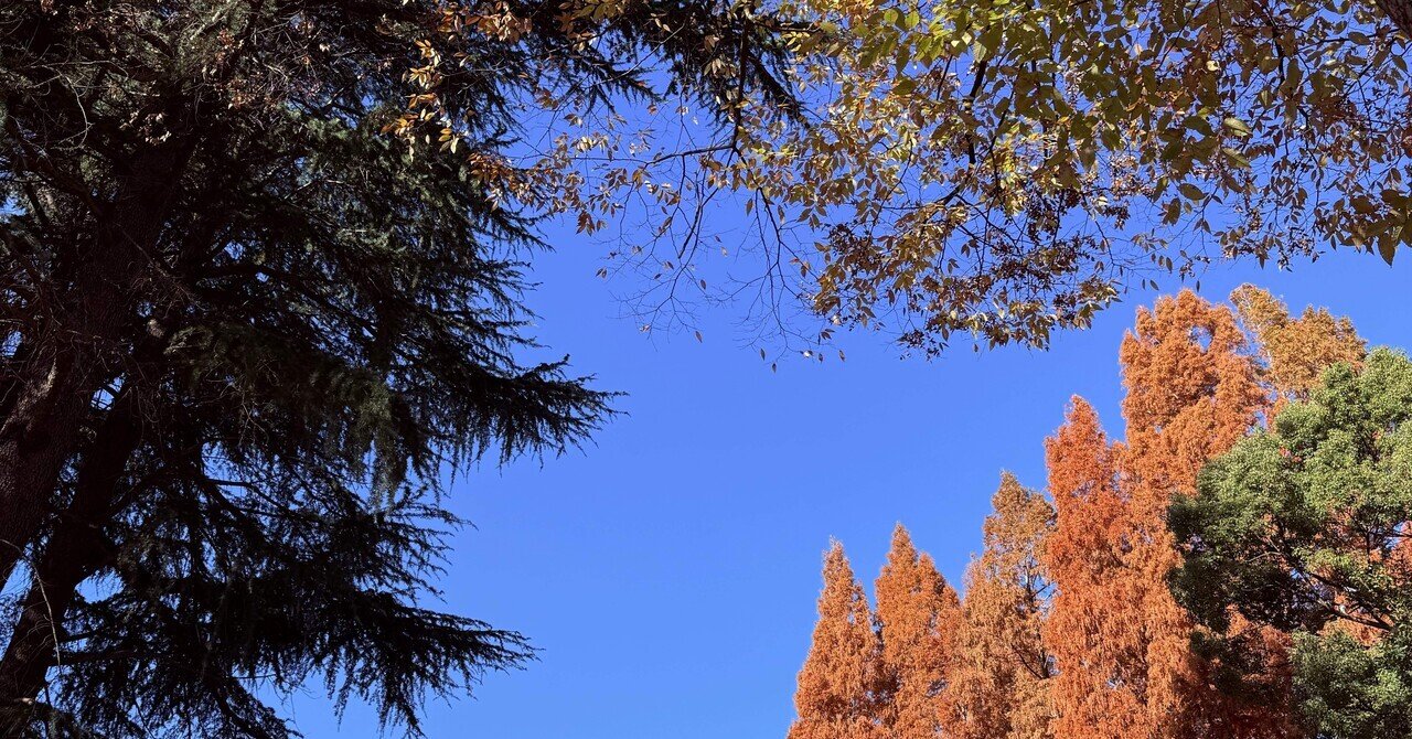 慣れない。｜Yuya Kikuchi