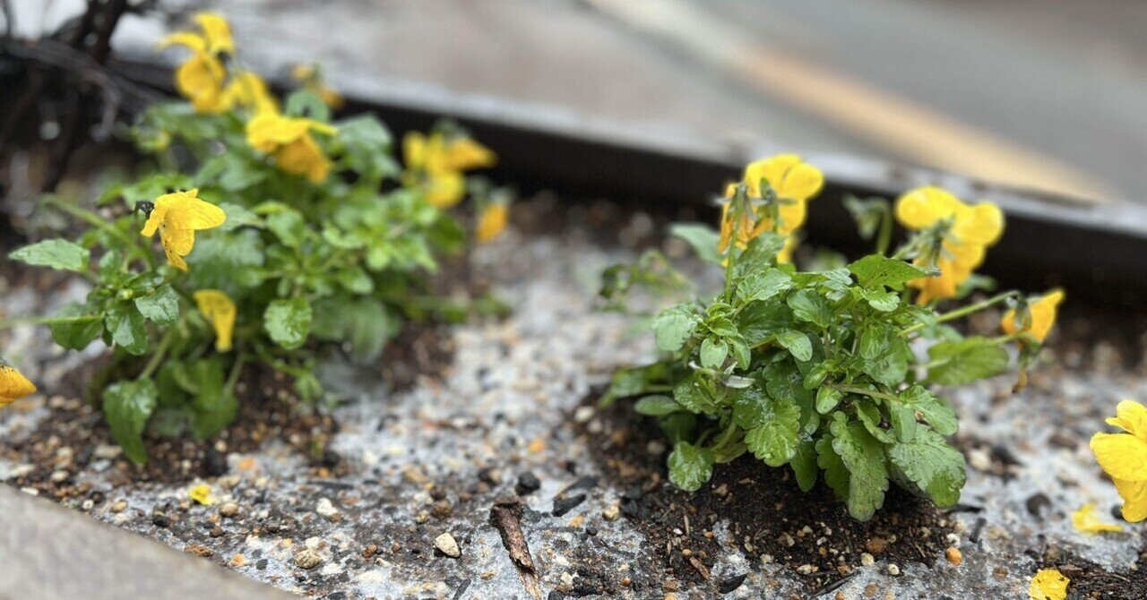 つららつらつら｜今野直倫 Naomichi Konno