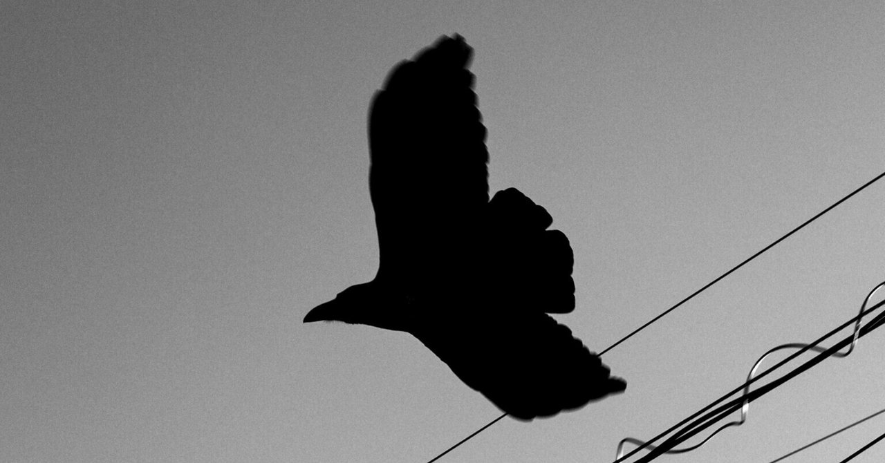 回顧録：日記と写真展「ゆれる静寂」｜米谷隆佑｜Yoneya Ryusuke