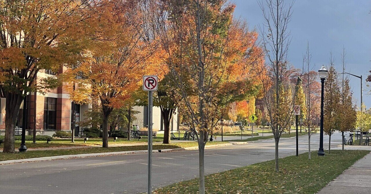 Sunday🍂fall day:(｜Kiwa|🇺🇸🏫