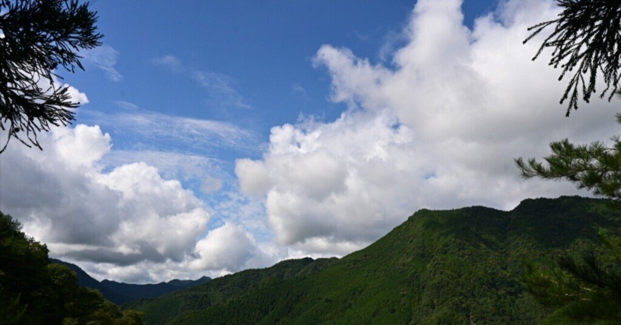 【奥大和体験記 －魅力溢れる十津川村と出会いー】 ｜MYSH株式会社