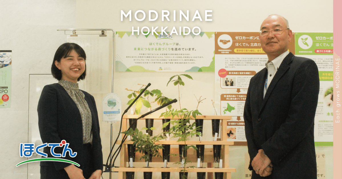 北海道電⼒の挑戦 〜「MODRINAE HOKKAIDO」で育む森づくりの輪〜｜MODRINAE | 木と生を共有する。