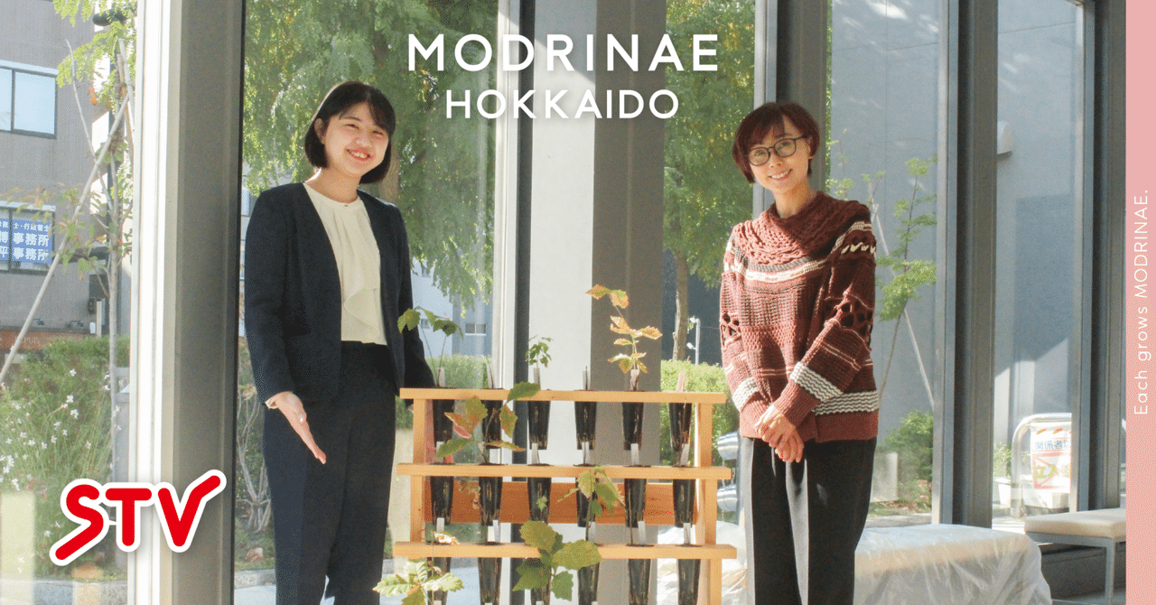札幌テレビの挑戦 〜「MODRINAE HOKKAIDO」で育む森づくりの輪〜｜MODRINAE | 木と生を共有する。
