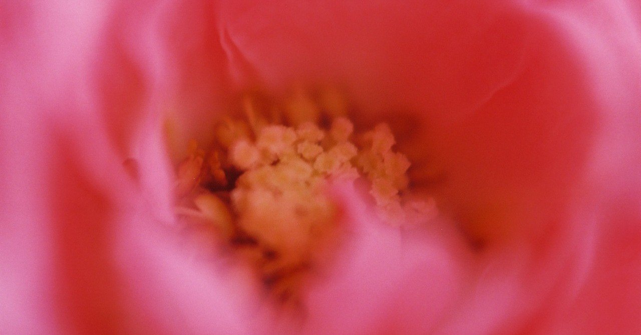 見守る力。・・。｜Cosmic Suzu