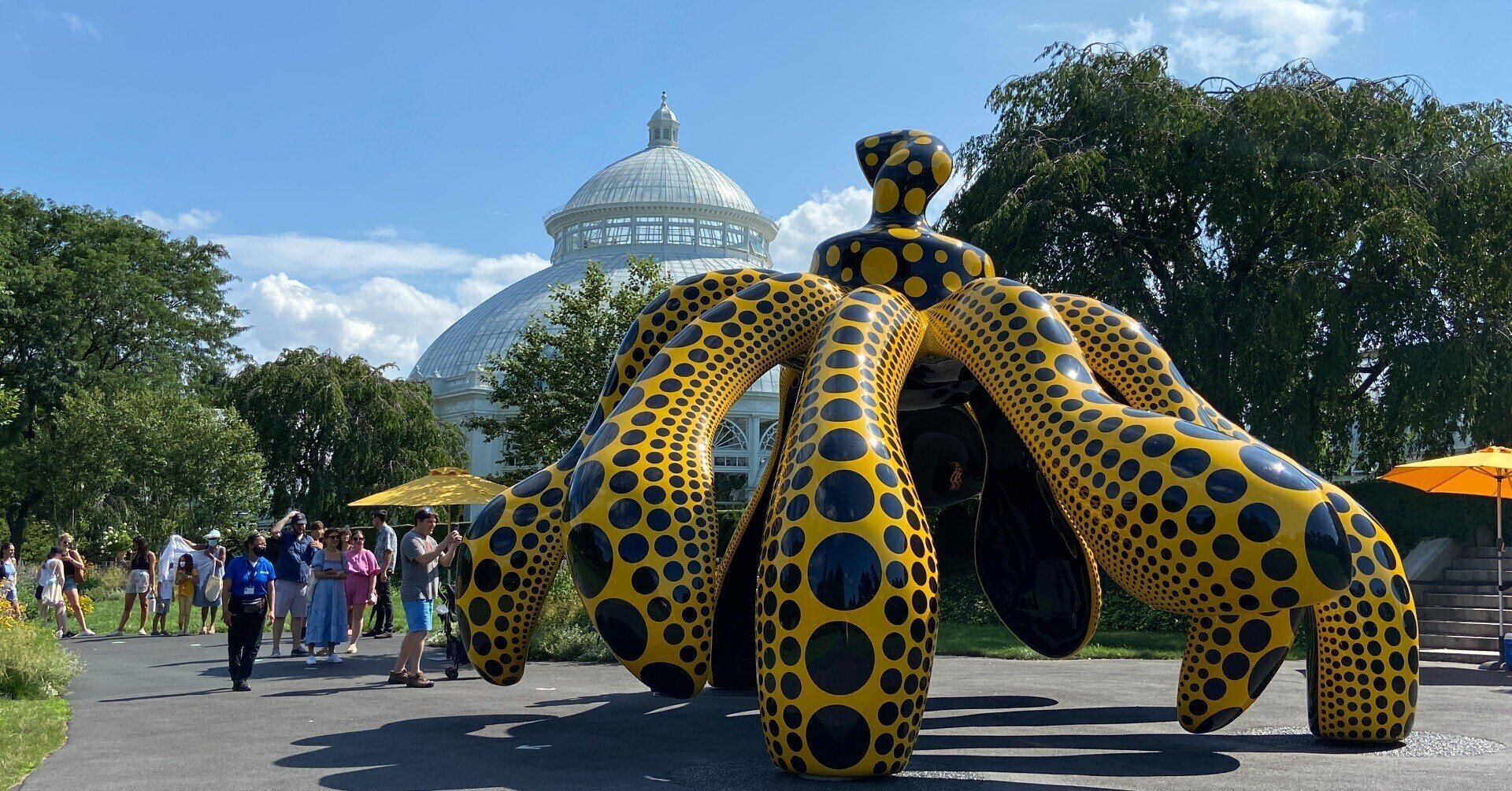 Sawa@Brooklyn｜note