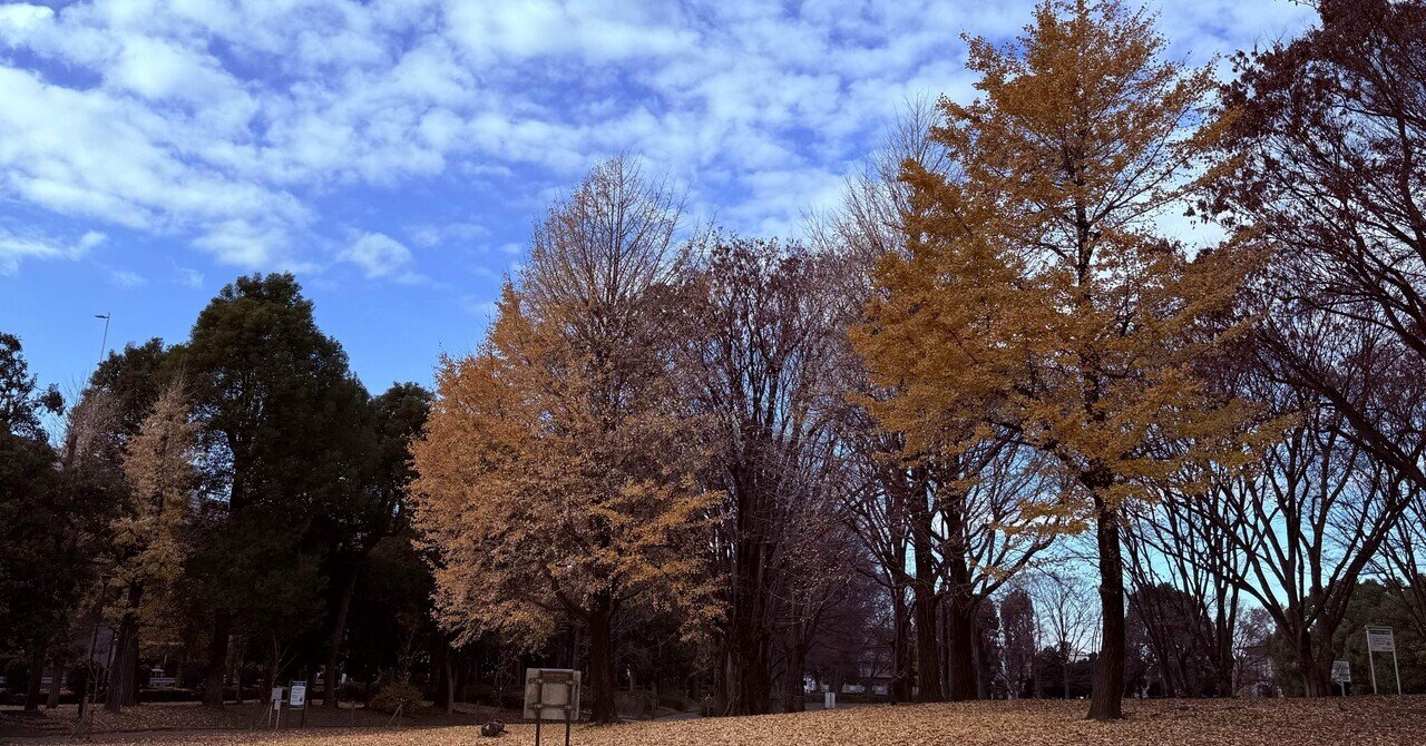 落ち葉。｜Yuya Kikuchi