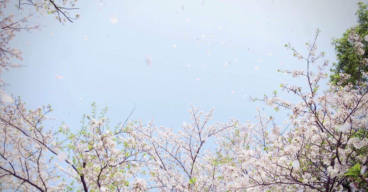 わたしたちは幸せになるために生きている｜OHO KANAKO