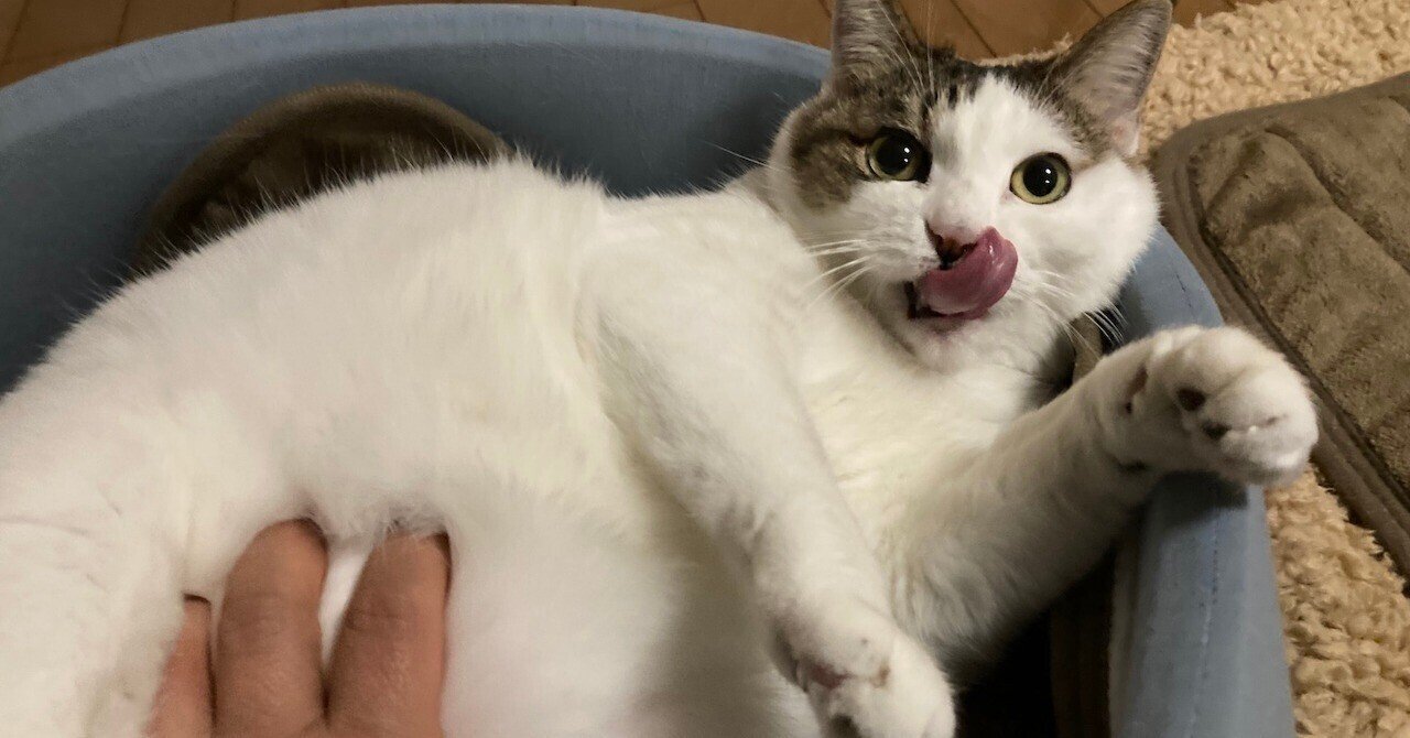 夢への軌跡_20241220_一緒にいるのが嫌だったのかなぁ。（笑）｜福山紫生