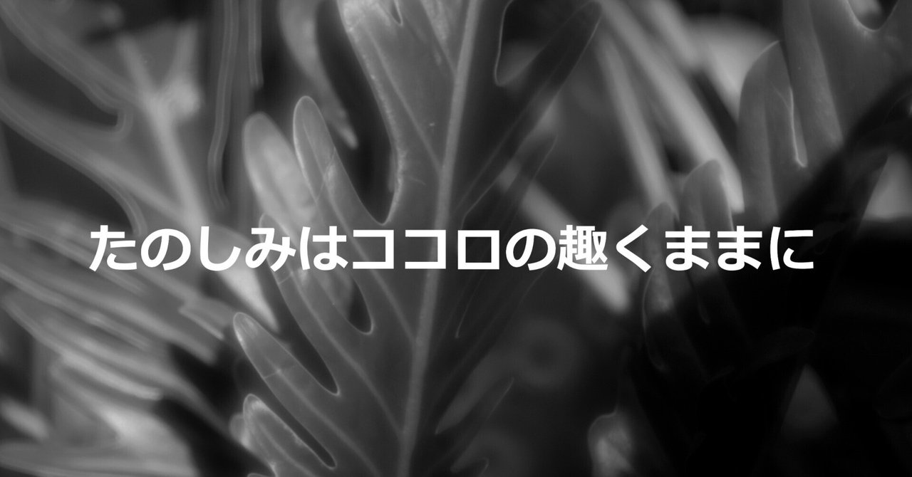 たのしみは、ルシア・ベルリンの短編小説｜Kamail