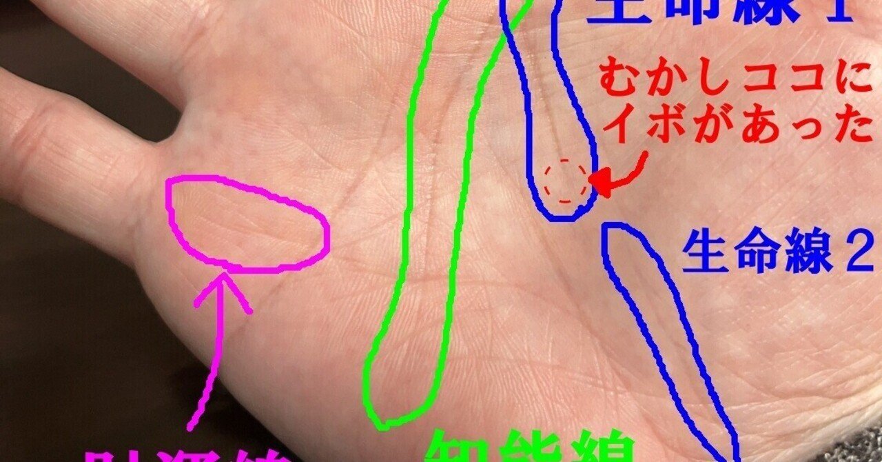 手相なるもの｜ほんころがし（元 昭和を懐かしむnote）