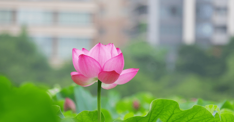 shu-ichi Taguchi｜note