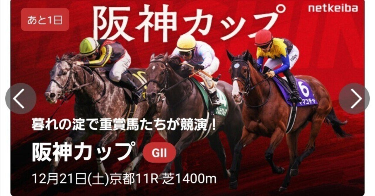 1221土🔥勝負レース🔥【阪神c】重賞は私に任せろ。【中山大障害】障害g1で勝負。【魂の勝負r】1番自信あるrで魂の勝負。【単複勝負