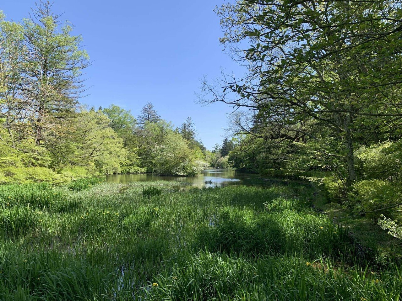 上手くいかないこと、失敗が続くこと、クリアできないこと、それはある意味とても幸せなこと。達成した後に振り返ると、実はそこでもがいている時間こそが最も宝物として輝いているのだから。その事に気が ...