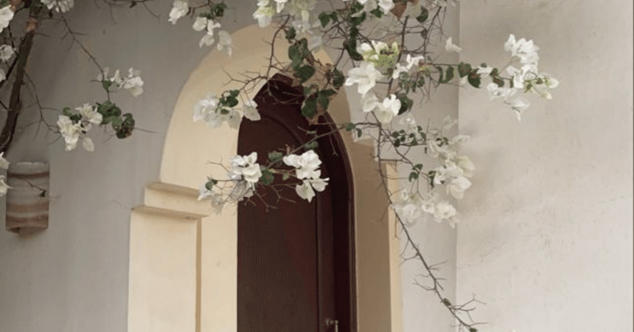 初投稿｜EHOL Wrappingの中の人