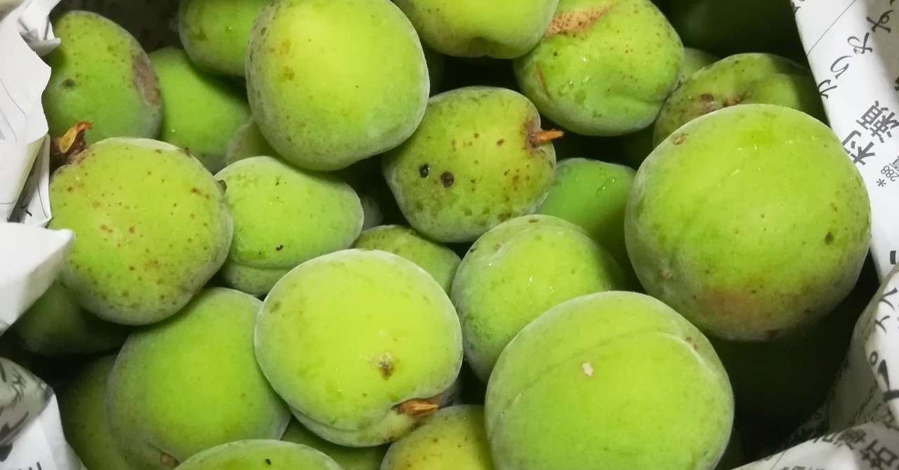 痴態を見られて、自己開示に繋がった話。｜kyokota（きょこた）