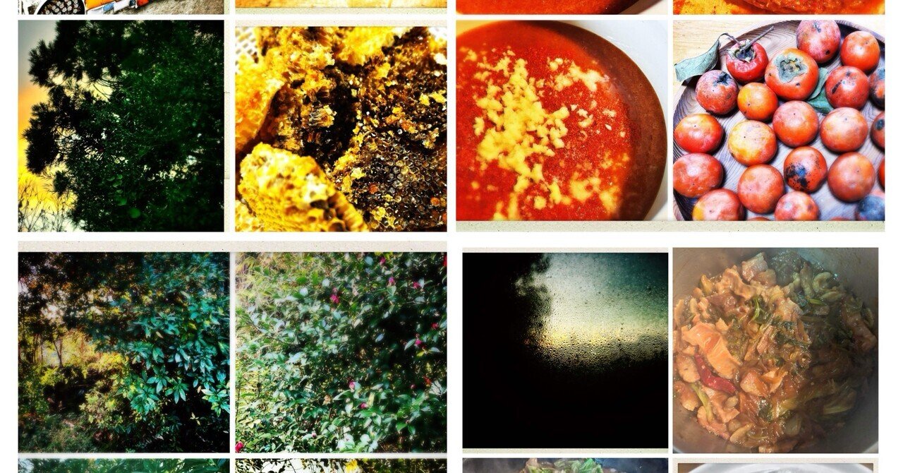 無駄を排せずとも肴摘む｜Dairon