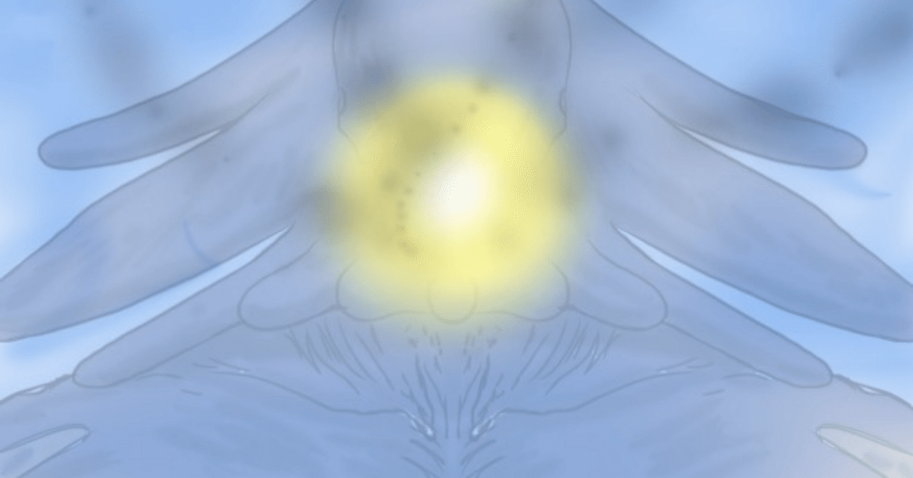 あっち雑談31｜Hecto