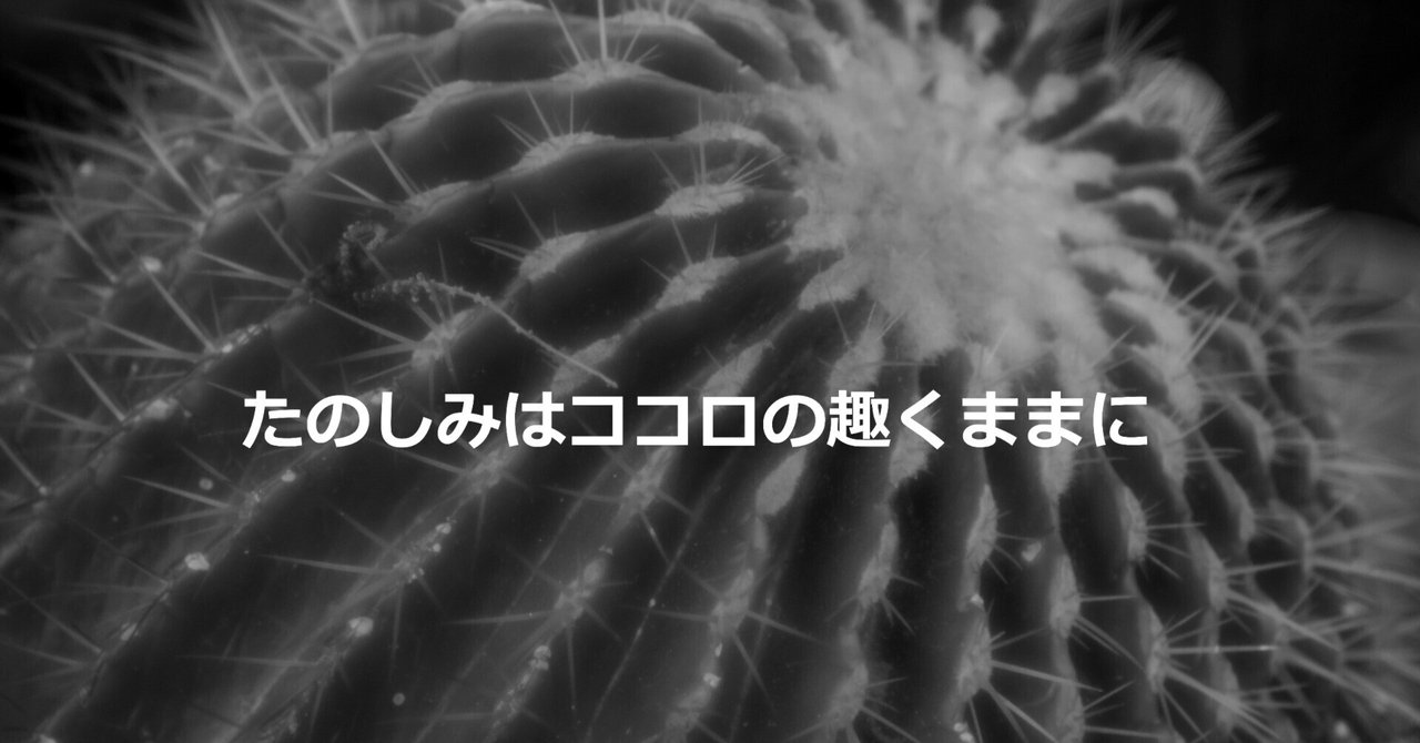 たのしみは、南伊豆町岩殿でモノクロ写真｜Kamail