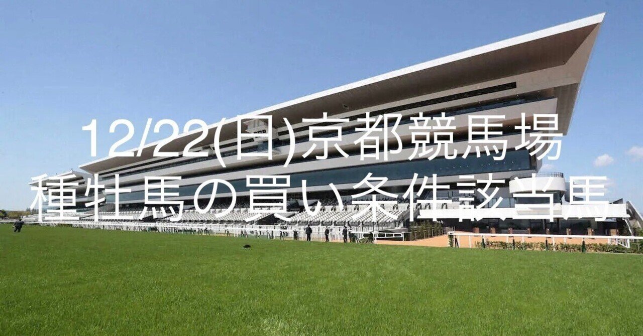 1222日京都競馬場 種牡馬の買い条件該当馬｜回収率向上委員会