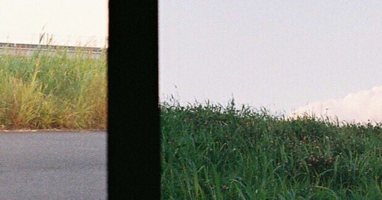 映画談義｜川野太郎 Kawano Taro