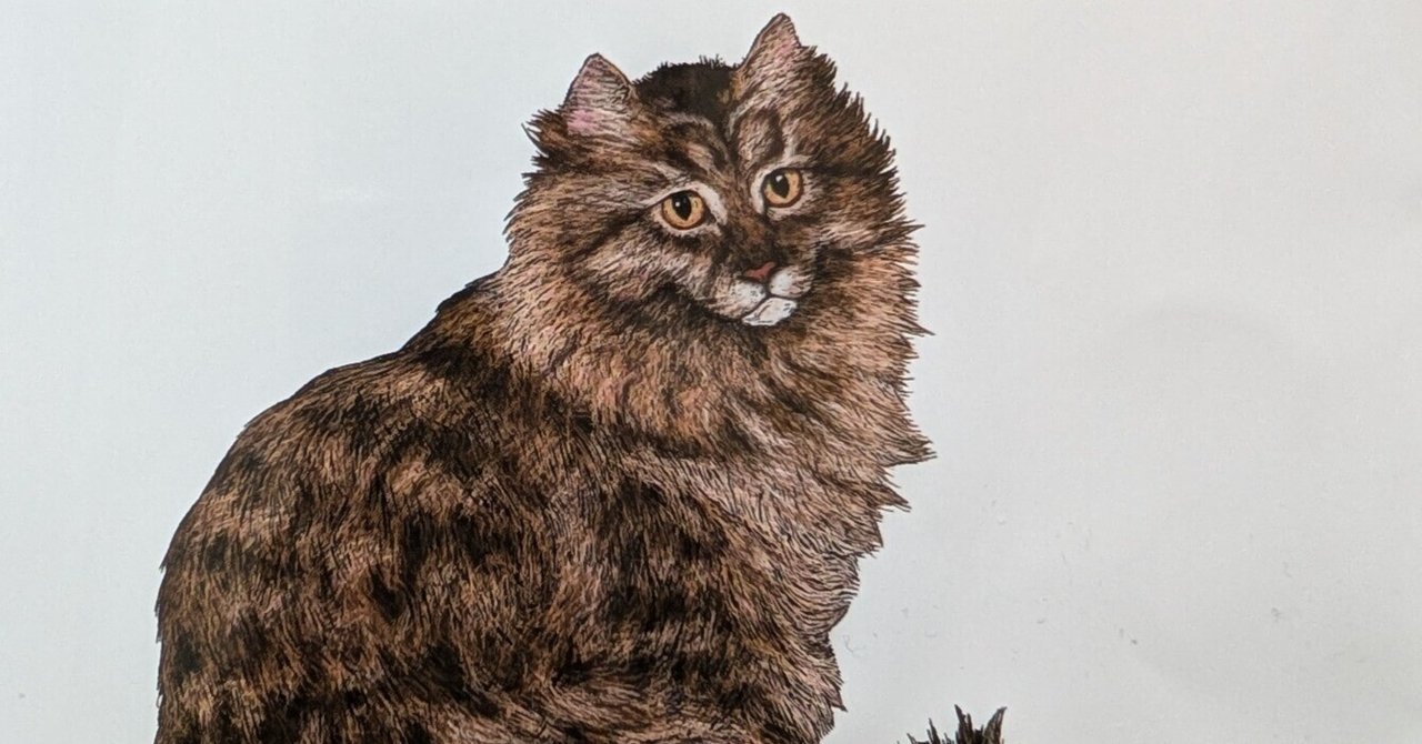 Tidy First?を読んだ｜dora_e_m